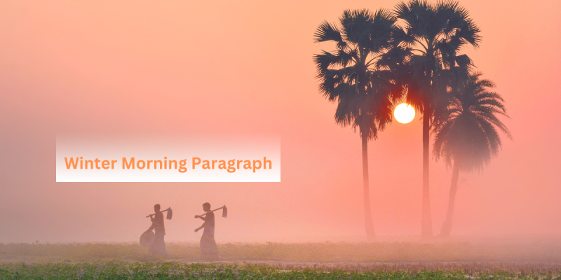 Winter Morning Paragraph For SSC & HSC in 150, 200 & 350 Words - Amra Jani