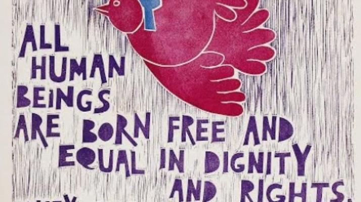 Human Rights Paragraph For HSC, SSC, And Mid-School Students - Amra Jani