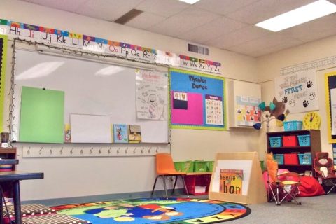 Lion Paragraph For Class 1, 2, 3, 4, 5, And 6 – Easy & Engaging - Amra Jani